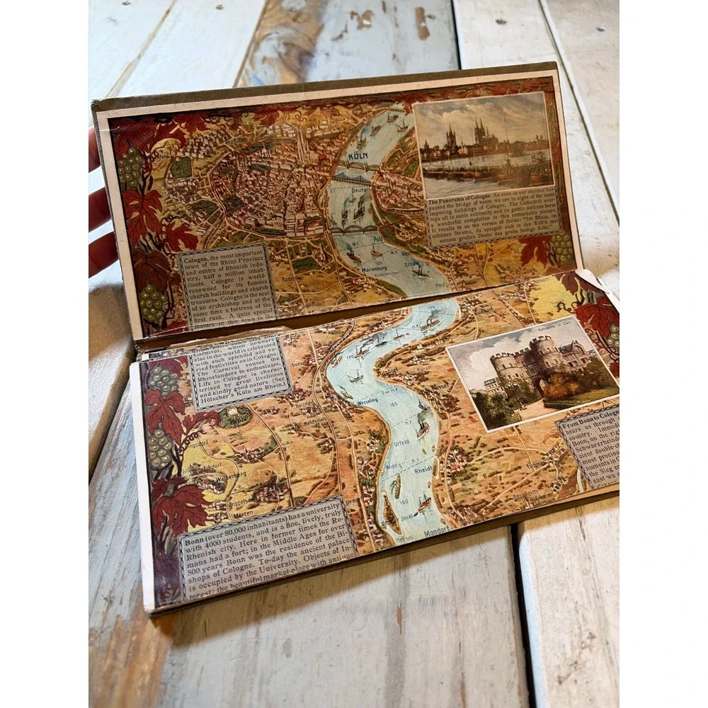 Office | Antique Relief Panorama Of The Rhine Folding Map Sections ...